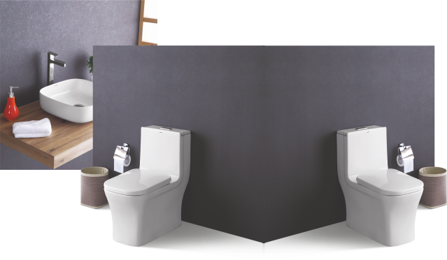 Sonara Sanitary Wares | One Piece Closet, Table Top, One Piece Basin ...